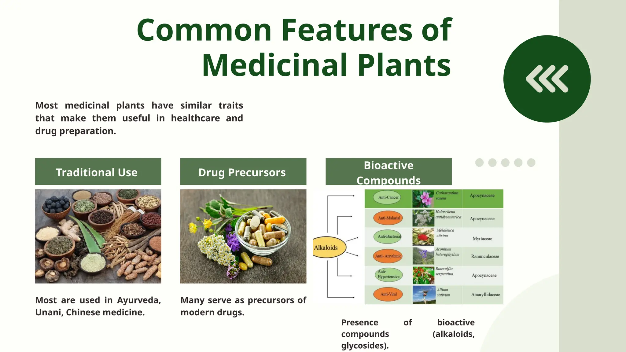 Meditional plants PPt about benifits of plants. | PPTX