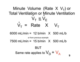 11.17.08(a): Alveolar Ventilation | PDF