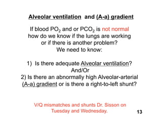 11.17.08(b): Alveolar Ventilation II | PDF