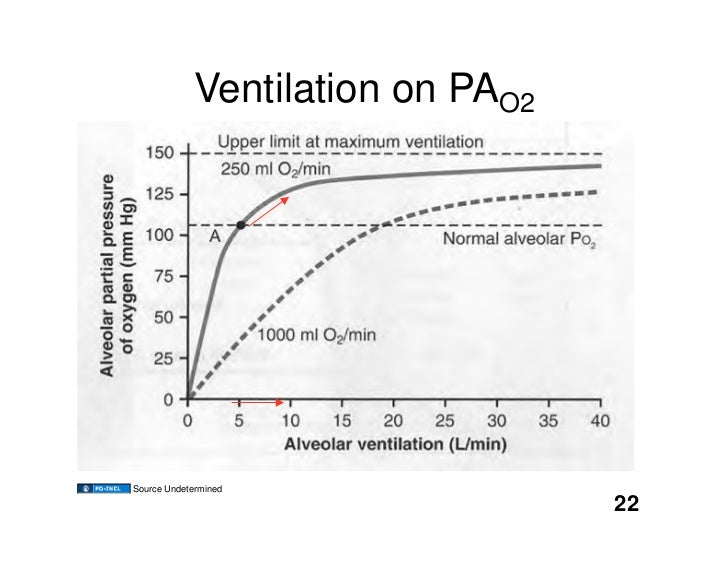 Alveolar Ventilation