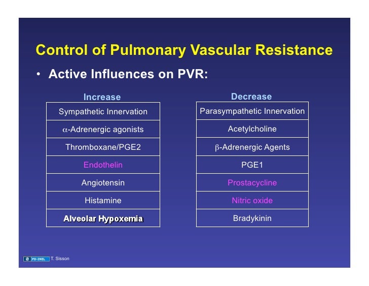11.17.08(c): Pulmonary Blood Flow