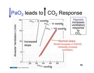 11.18.08(b): Respiratory Control, Ventilation, and Regulation of PaCO2 ...