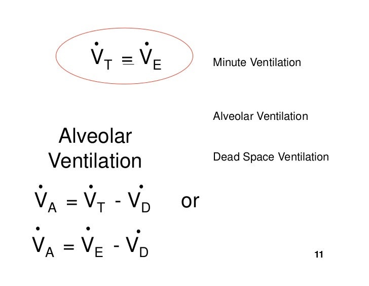 Alveolar Ventilation