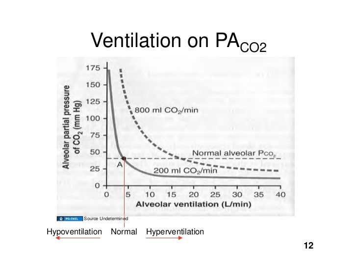 11.18.08(b): Respiratory Control, Ventilation, and Regulation of PaCO2