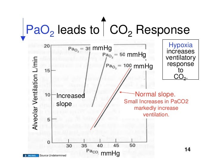 11.18.08(b): Respiratory Control, Ventilation, and Regulation of PaCO2