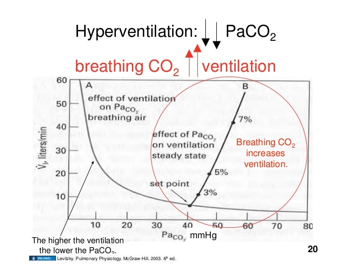 11.18.08(b): Respiratory Control, Ventilation, and Regulation of PaCO2