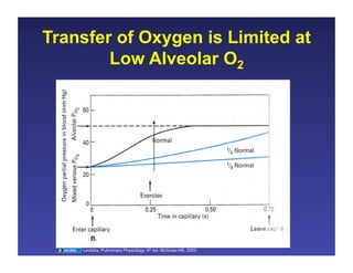 11.18.08(c): Diffusion of Gases | PDF