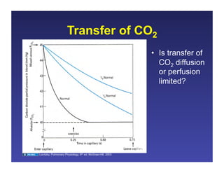 11.18.08(c): Diffusion of Gases | PDF