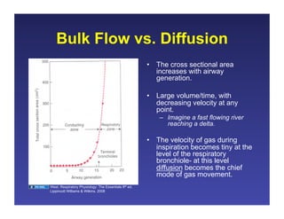 11.18.08(c): Diffusion of Gases | PDF
