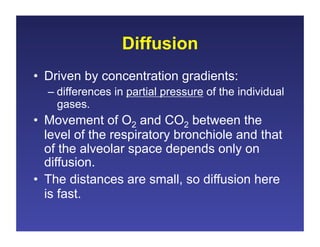 11.18.08(c): Diffusion of Gases | PDF | Desktop Publishing | Computer ...