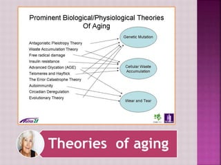 biology of ageing | PPTX