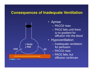 11.19.08: Ventilation/Perfusion Matching | PDF