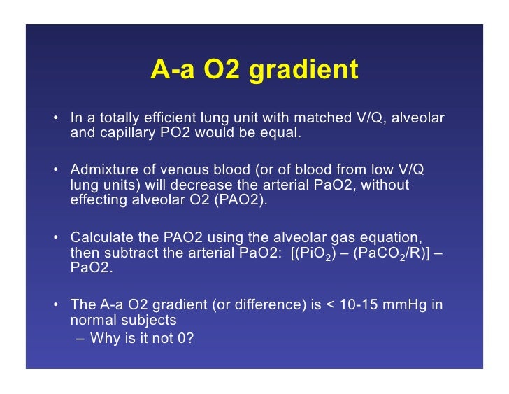 11.19.08: Ventilation/Perfusion Matching
