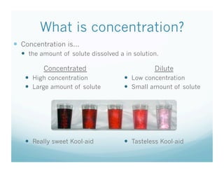 1 11 What Is Concentration | PDF | Chemistry | Science