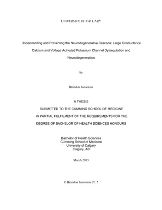Honours Thesis | PDF