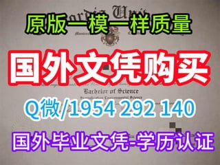 adelphi学位证 | PPT