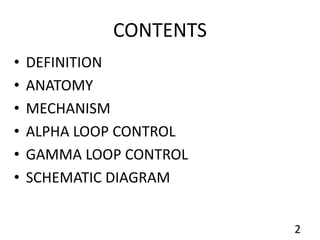 skeletal servomechanism | PPTX