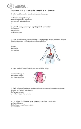 112173726 prueba-comprension-2°-basico-cuerpo-humano-1 | PDF