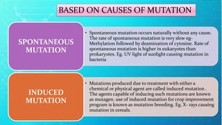 Mutation and its types | PPTX