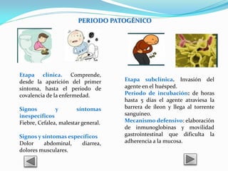 Diarrea aguda | PPT