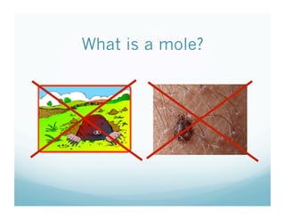 11 23 What Is A Mole | PDF