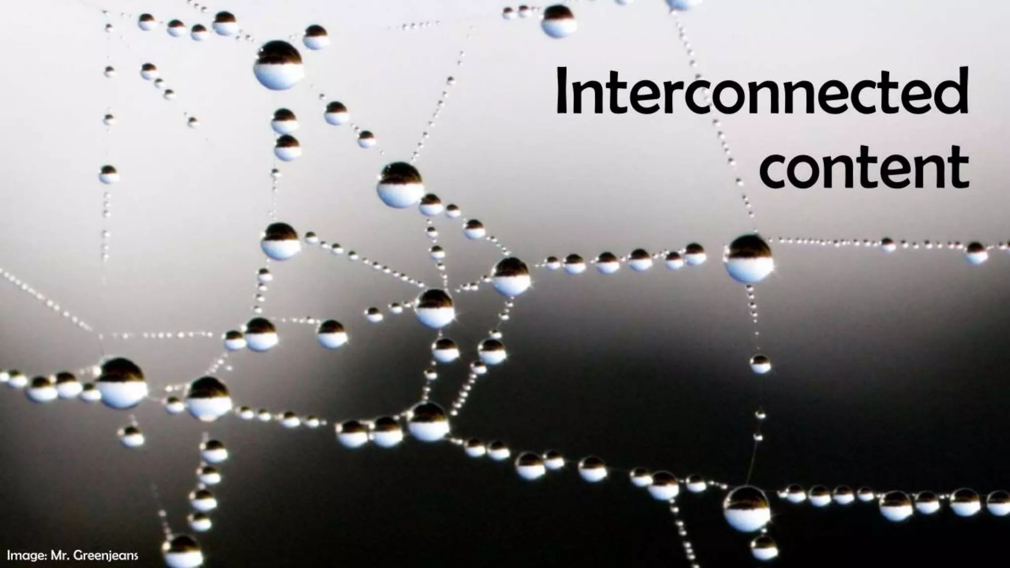 Promote Metacognition And Reflection In Stem Ppt