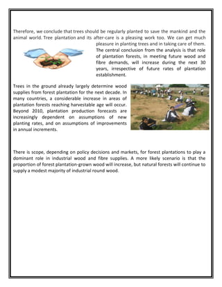 11262020112841AWARENESS PROGRAM_TREE_RATE.pdf