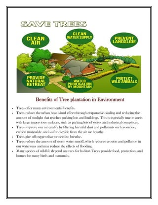 11262020112841AWARENESS PROGRAM_TREE_RATE.pdf