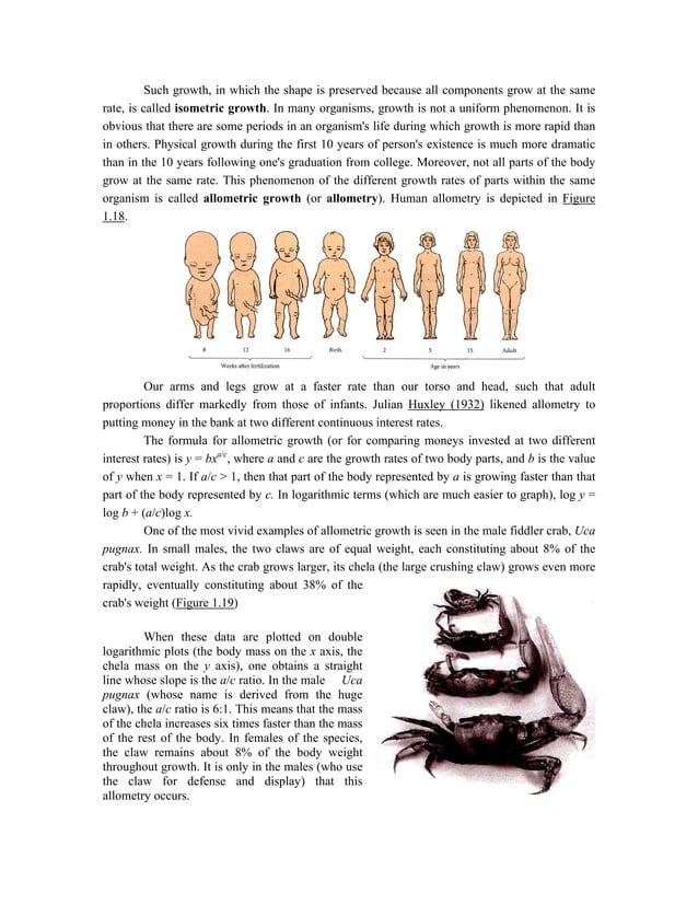 Developmental Biology 7th Edition Scott F Gilbert | PDF