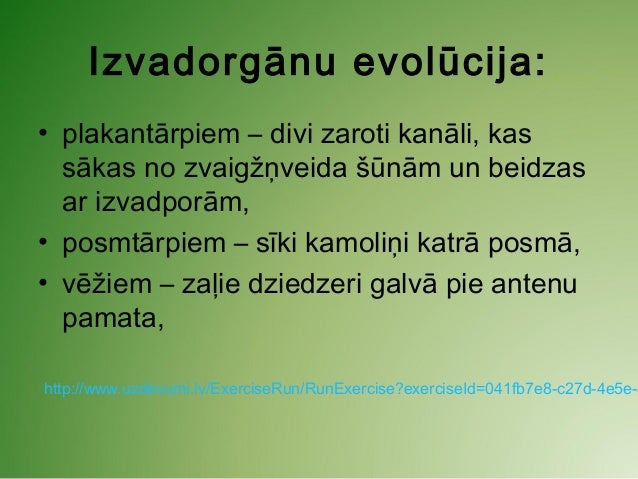 Vielu Izvadīšana Ādas Uzbūve Un Funkcijas11 29 Izvadiisanaaada