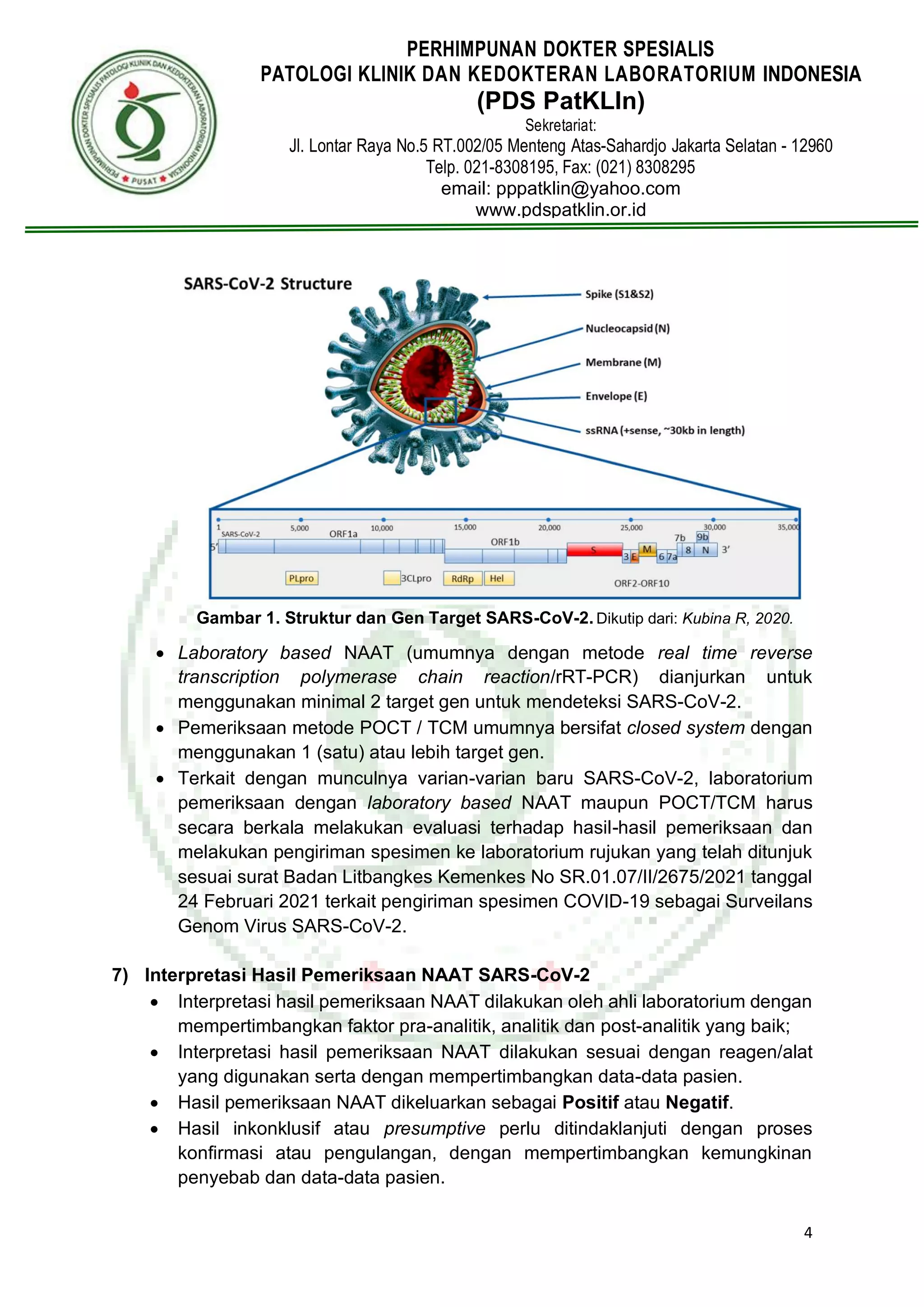 PANDUAN TATALAKSANA PEMERIKSAAN NAAT (NUCLEIC ACID AMPLIFICATION TEST ...