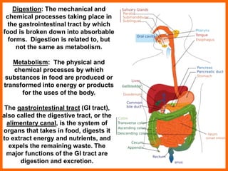113-Digestion.ppt