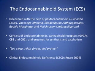 History of Medical Cannabis - Dr. Jahan Marcu | PPT