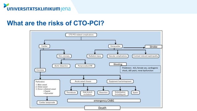 Sylvia Otto: Impulse: How to evaluate and adress the risks of CTO PCI | PPT