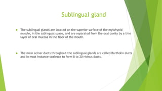 ANATOMY OF SLIAVARY GLAND AND FUNCTION | PPT