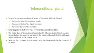 ANATOMY OF SLIAVARY GLAND AND FUNCTION | PPT