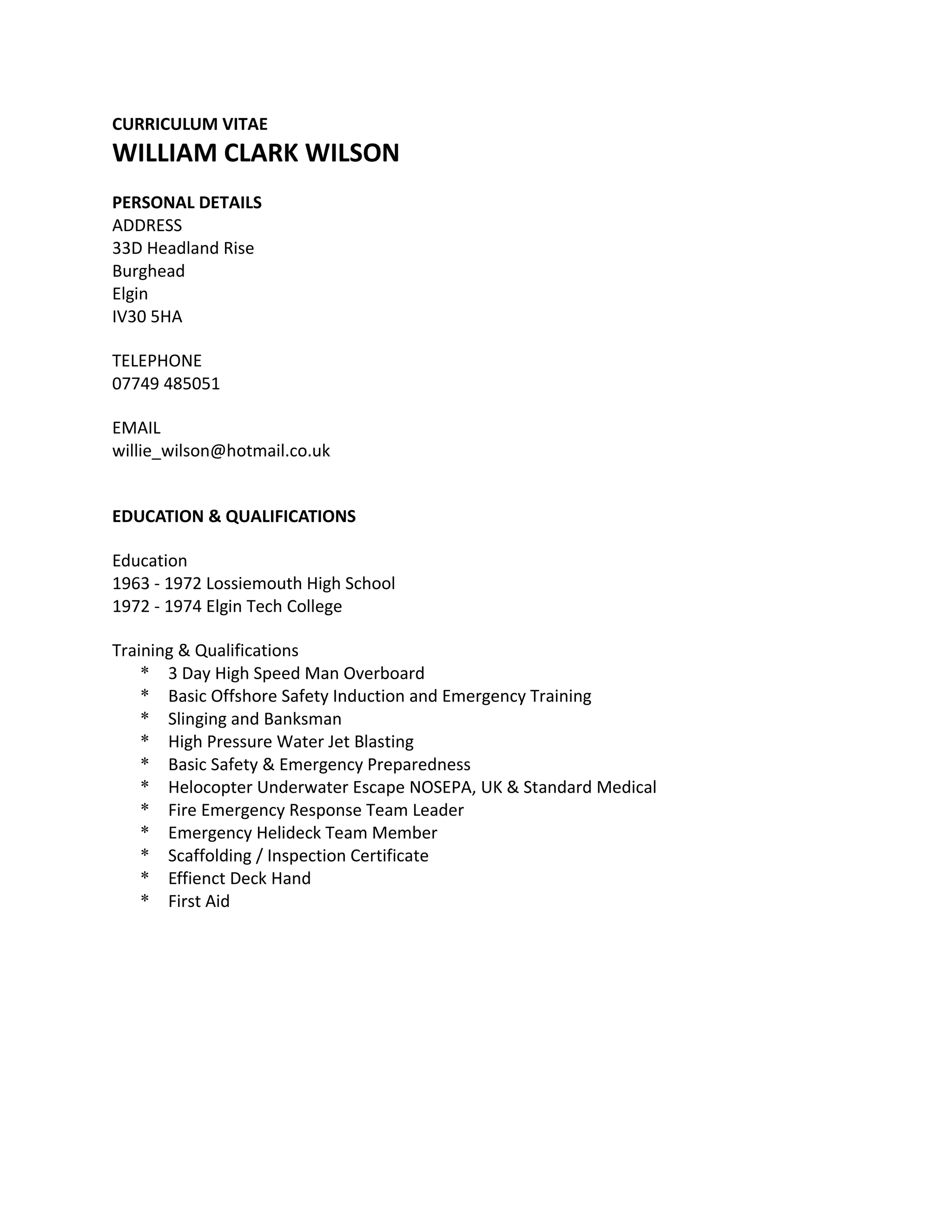 William Wilson CV | RTF | Painting | Arts and Crafts