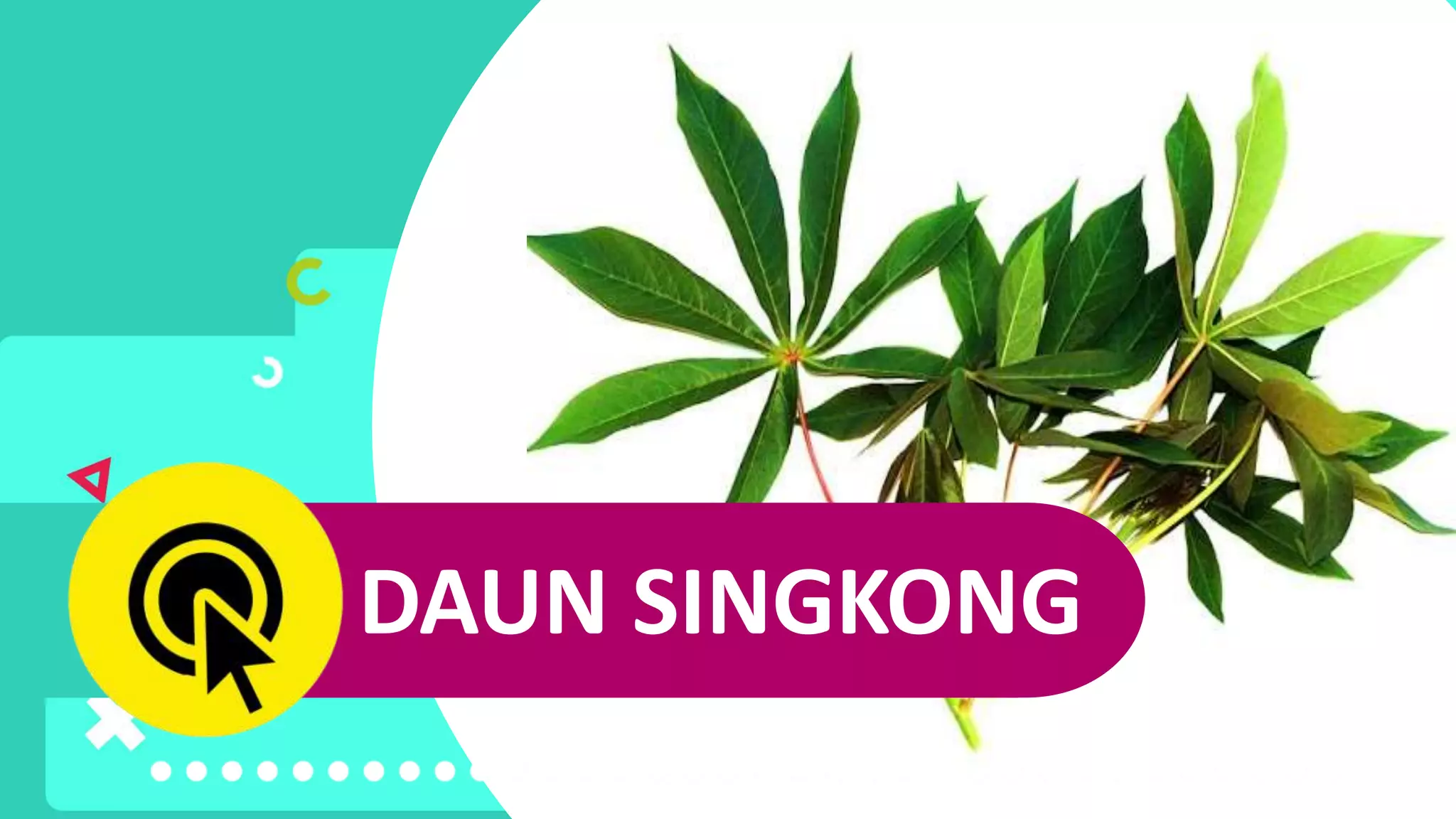 Mengenal macam macam sayuran | smartpoint | PPSX