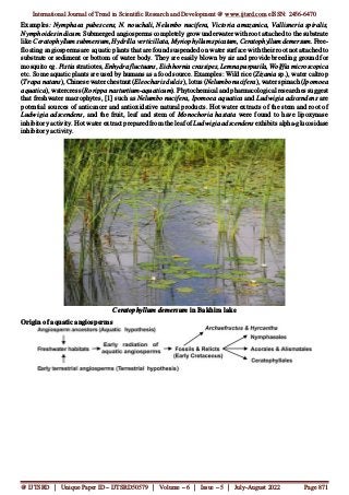 Study of Angiospermic Diversity of Bakhira Lake, Sant Kabir Nagar ...