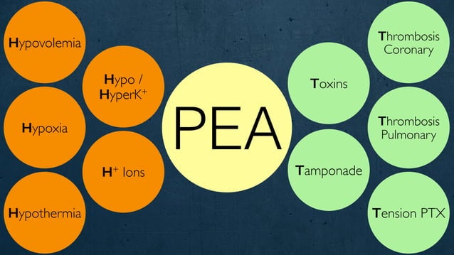 A Revised Algorithm for PEA Cardiac Arrest: Haney Mallemat | PPT