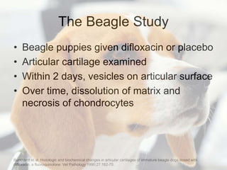 Lisa McQueen - Pearl or Fecalith? | PPTX