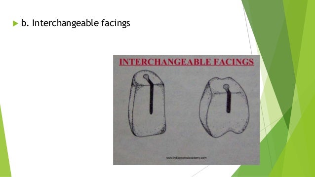pontics in the prosthetic dentistry