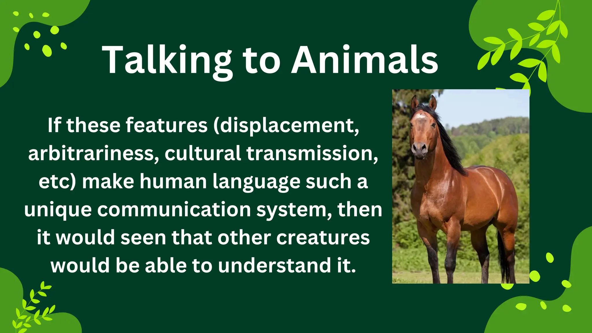 Animals and human language/ English/ Linguistics.pdf
