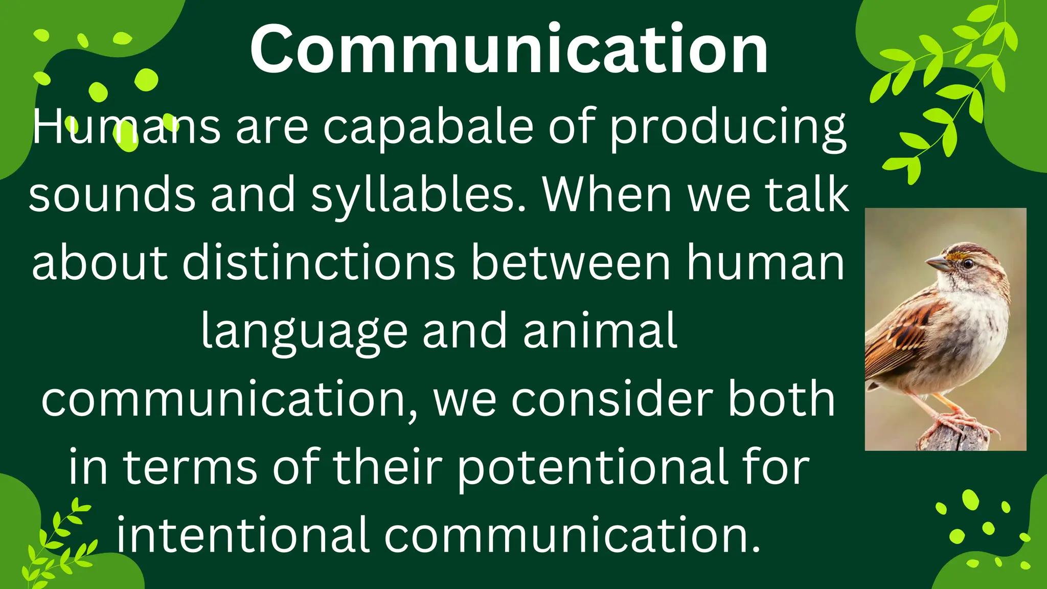 Animals and human language/ English/ Linguistics.pdf