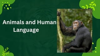 Animals and human language/ English/ Linguistics.pdf