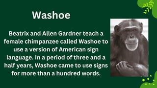 Animals and human language/ English/ Linguistics.pdf
