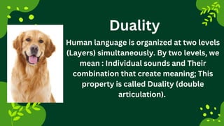 Animals and human language/ English/ Linguistics.pdf