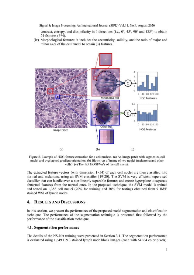 Melanoma Cell Detection in Lymph Nodes Histopathological Images using Deep Learning | PDF