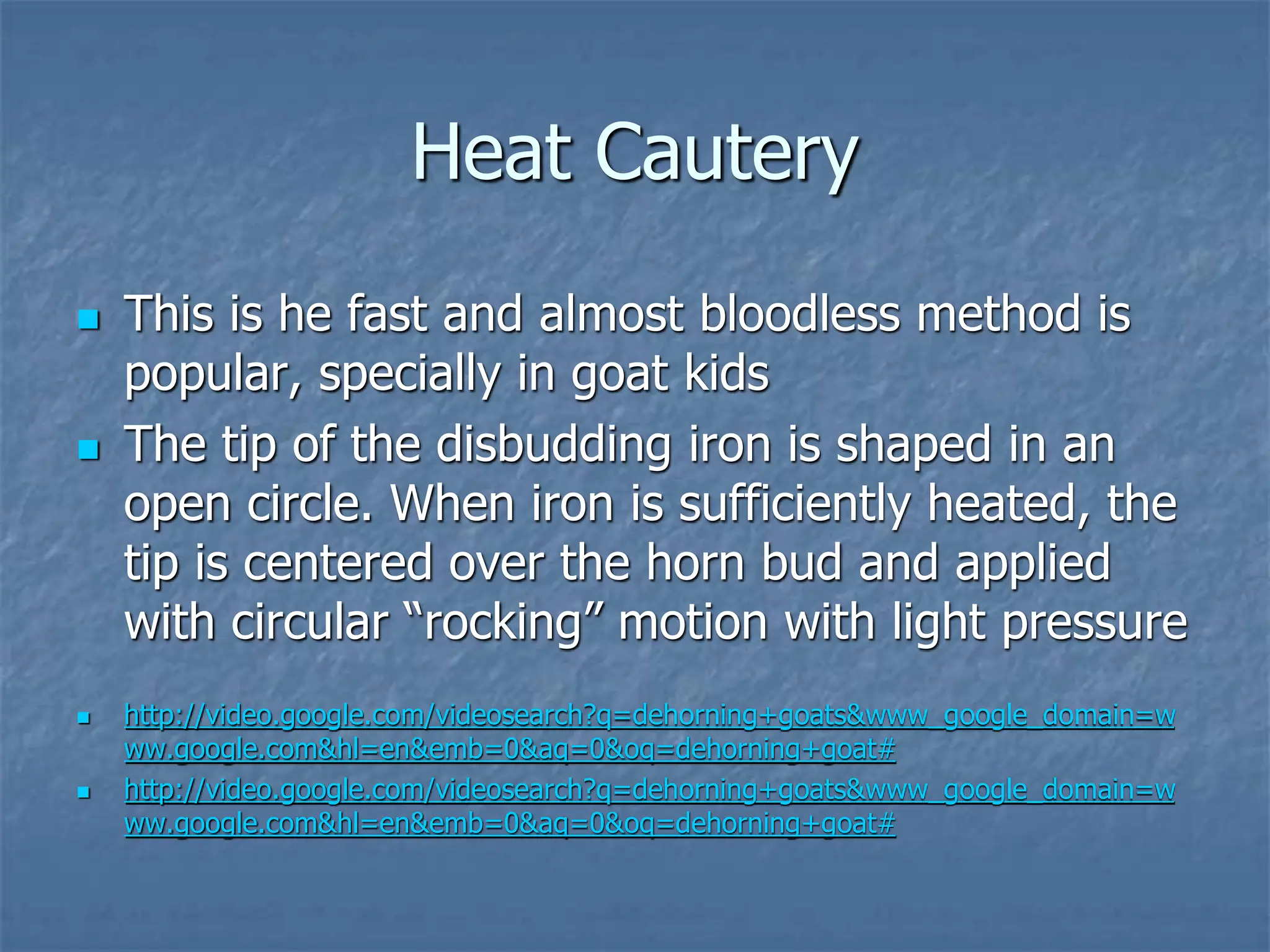 Dehorning-Cornuectomy-in-Large-Animal.ppt