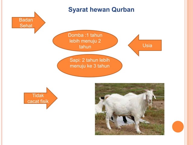 114836279-Kurban-Power-Point.pptx